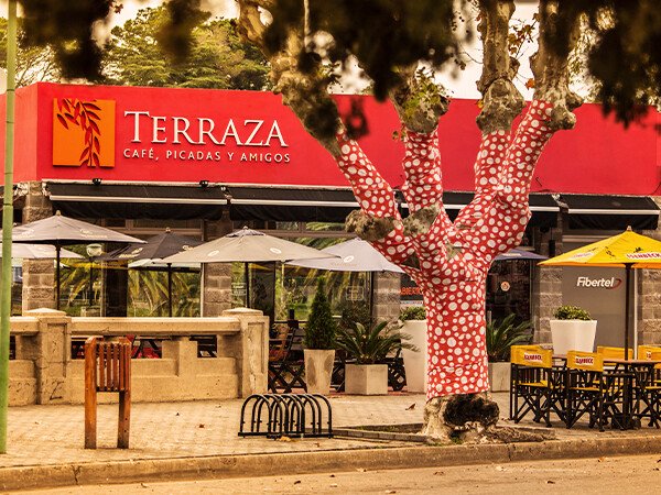 Experiencia en Terraza Café